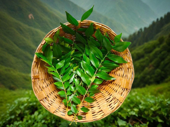 Pahadi Hatti Official site | 100% Pure Natural Products – Pahadi Hatti ...
